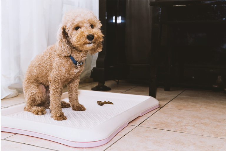 4 Common Hallway Odors In Apartments and the Best Way To Eliminate Them ...